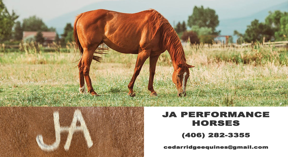 JA Performance Horses | Bozeman Montana